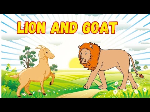 Animals Family Story / Wild Animals Short / Kidloland bedtime stories ...