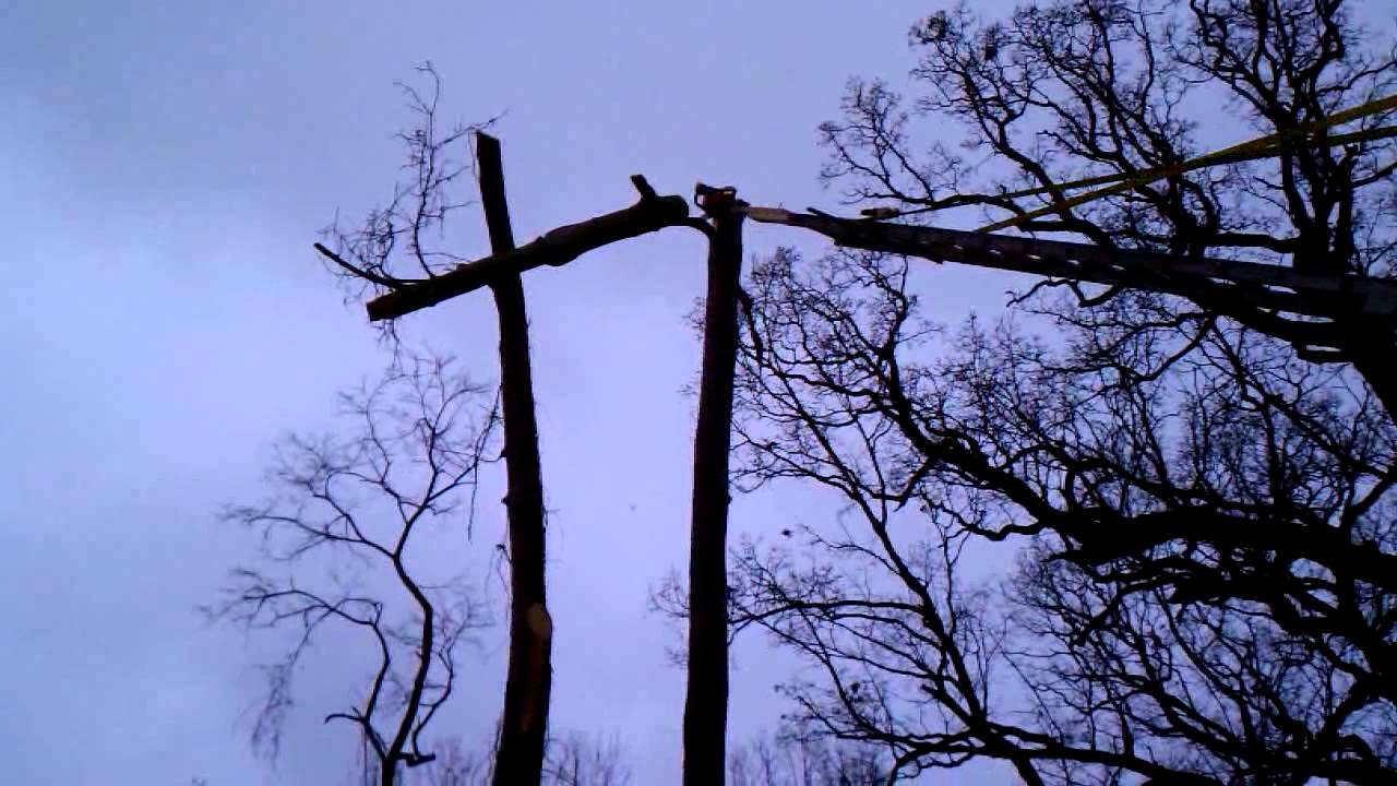 Remote control chainsaw.1 of a kind - YouTube