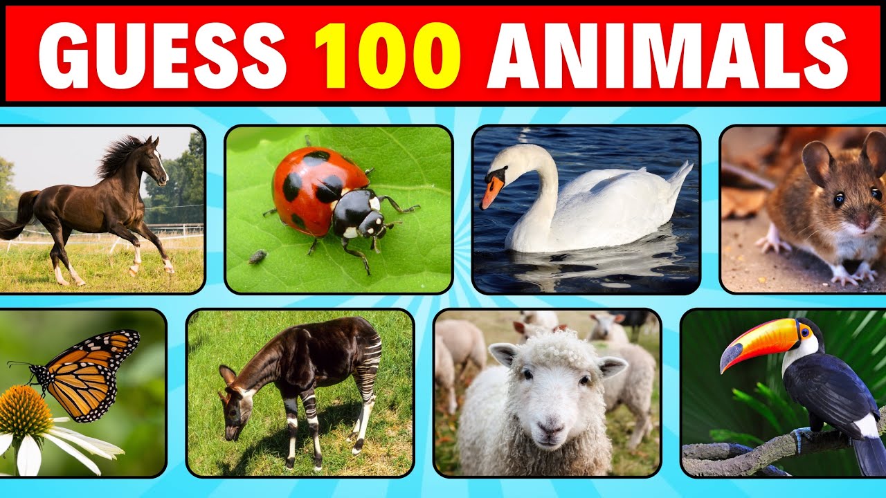 Can You Guess These 100 ANIMALS In 3 Seconds? | Guess The Animal Quiz ...
