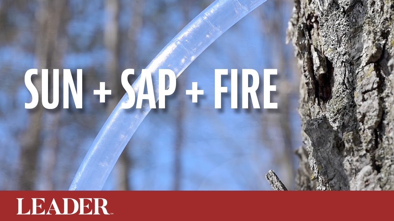 Sun + Sap + Fire = Maple Syrup - YouTube