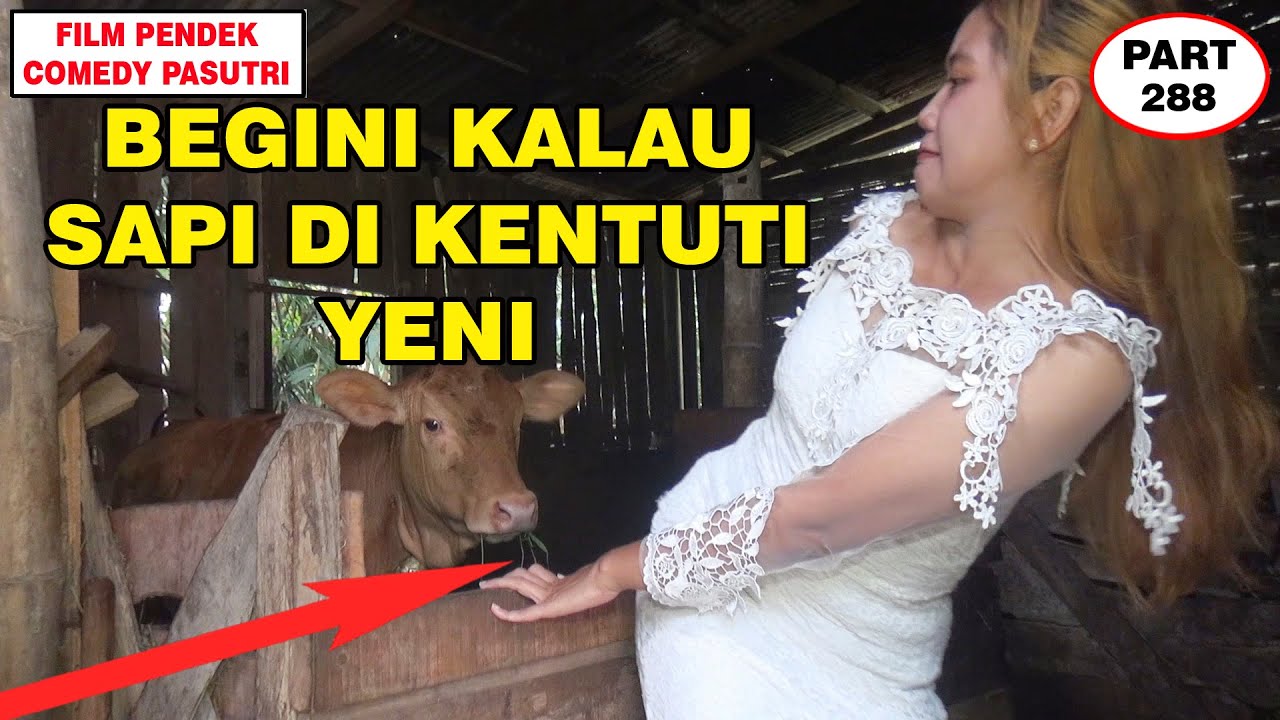 Yeni Kumat Kentut Di Muka Sapi Seperti ini Reaksinya !! Eps 288 - YouTube