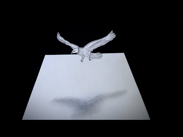 3D Flying Bird Drawing illusion for Beginners | 3D Eagle Bird Drawing ...