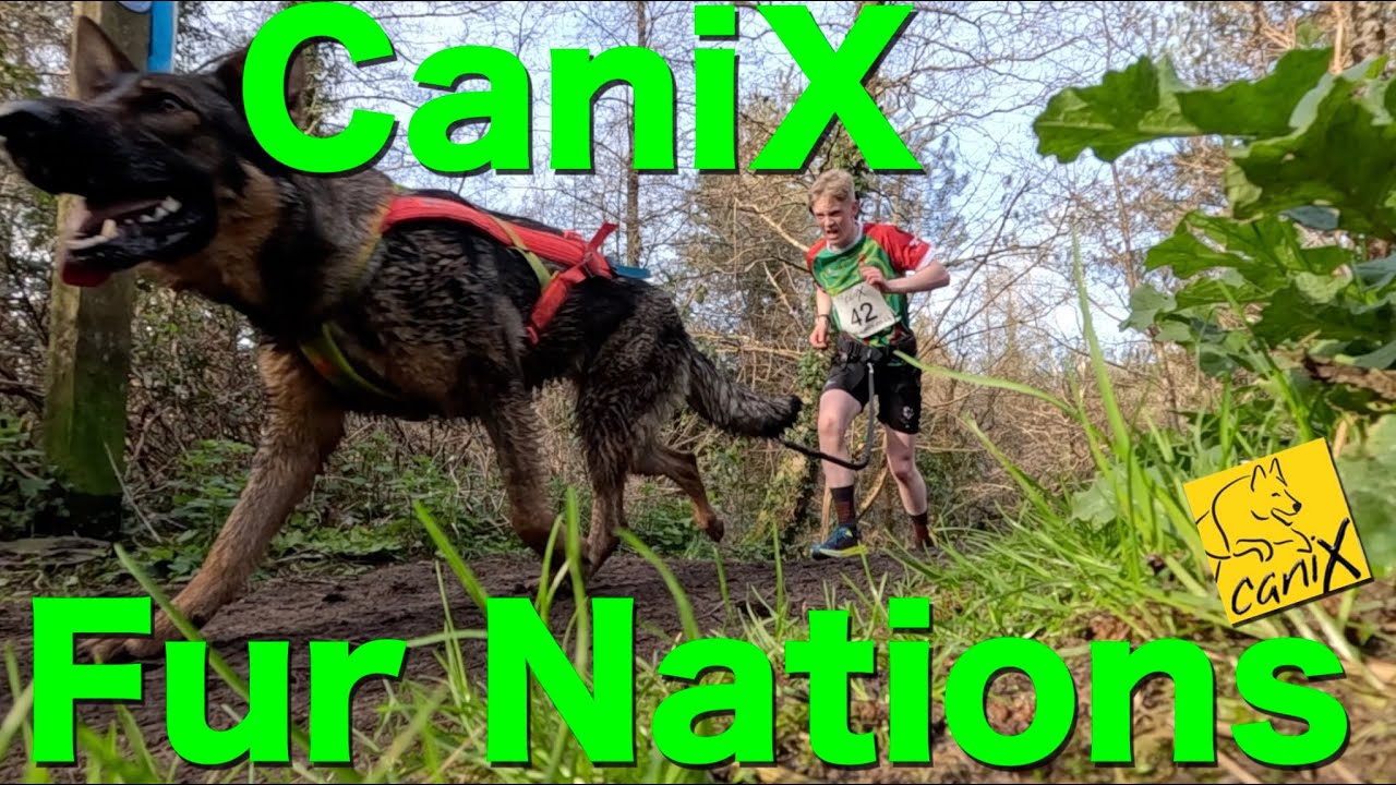 CaniX Fur Nations - Wales - YouTube