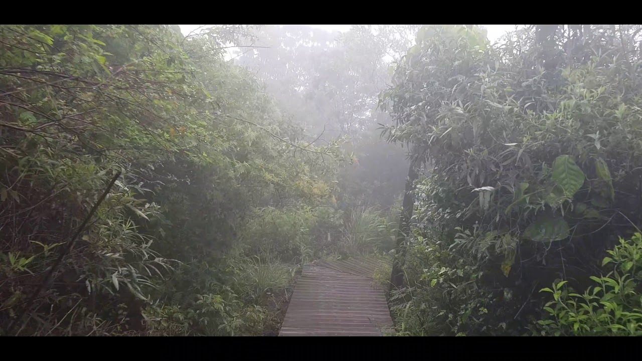 Mutarazi falls Nyanga - YouTube