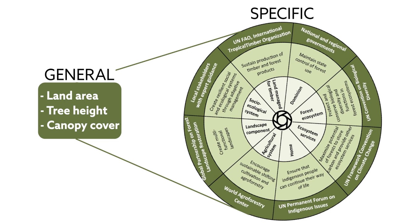 Seeing the Definition Through the Trees: A Framework for Redefining ...