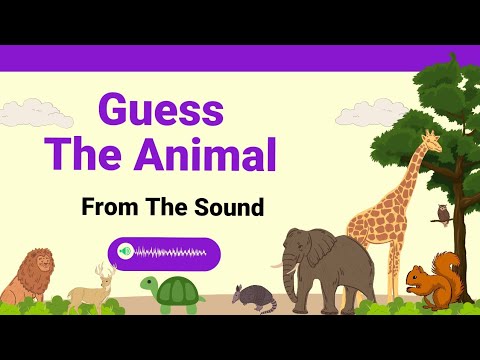 Guess the animal from sound | can you guess the Animal sounds quiz by ...