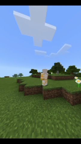 Davi Yuri MINECRAFT o Mod do Flash MINECRAFT - YouTube