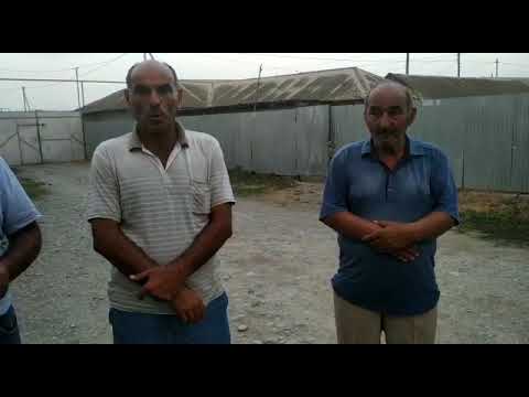 Zerdab rayon deliquwcu kend  deleduzluq