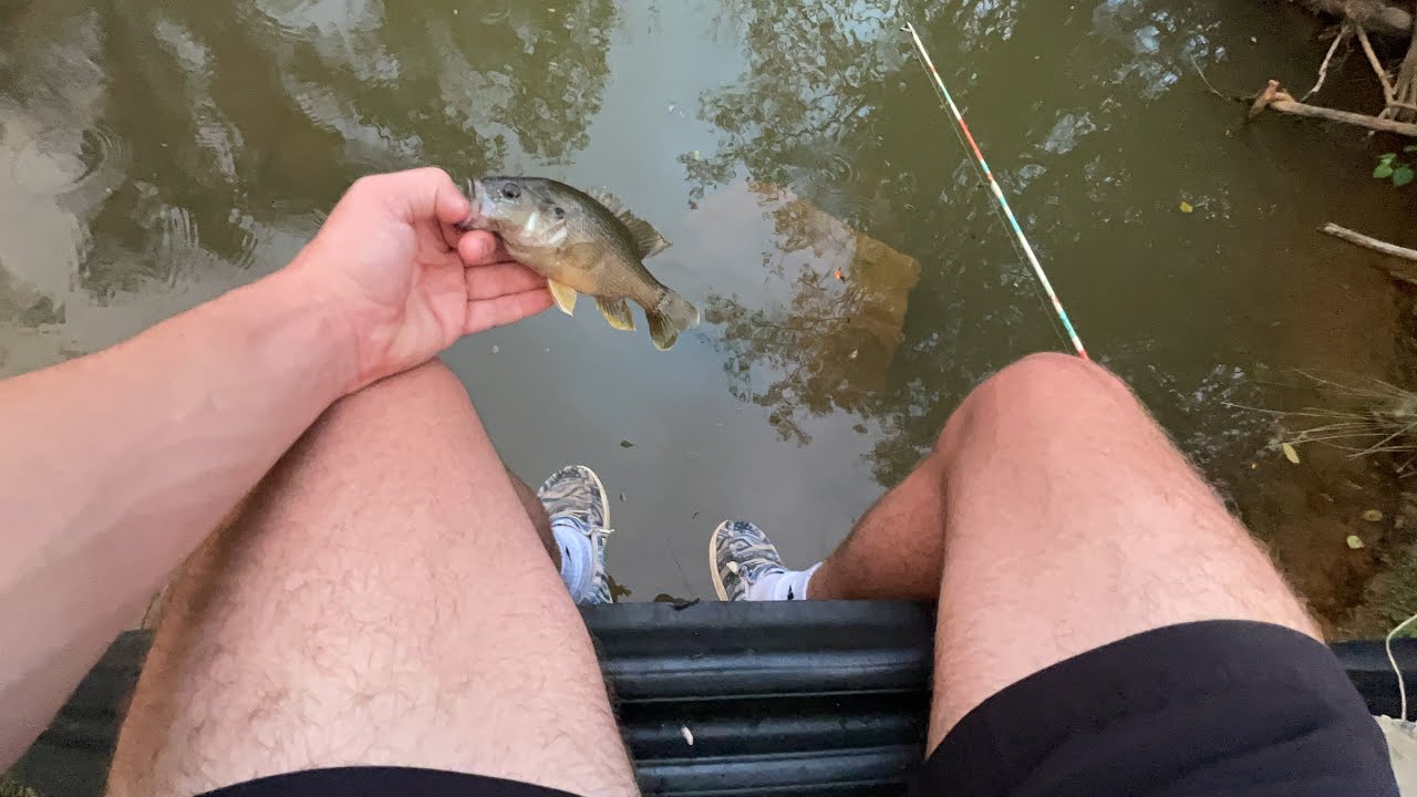 Fishing in a puddle. - YouTube