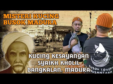 GHOIB PENDAMPING KUCING BUSOK RAAS BERKAH DOA SYAIKH KHOLIL BANGKALAN ...
