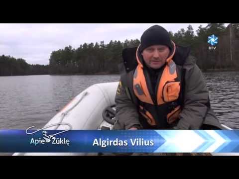 Apie Zukle 2013 12 06 - YouTube