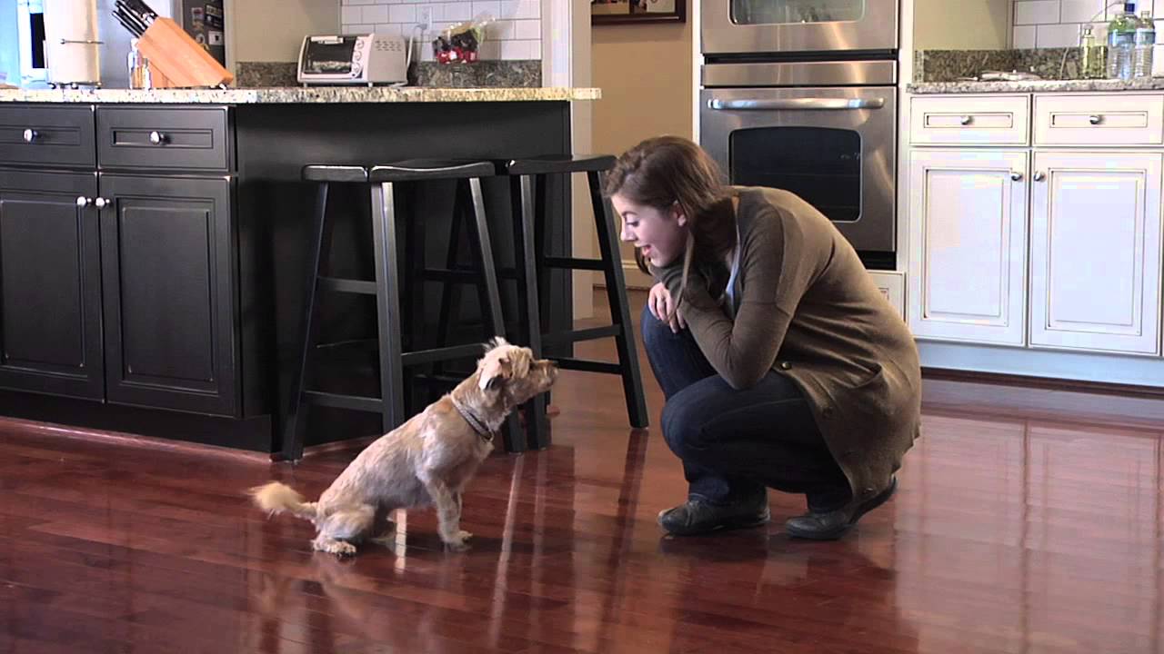 FitzMall | Words of Wisdom with Benji - YouTube