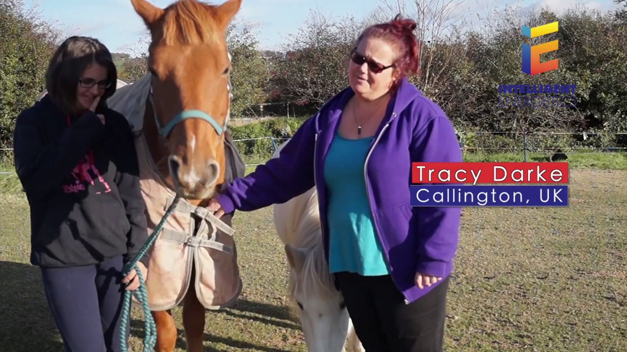 Horsifi Testimonial by Tracy Darke - YouTube