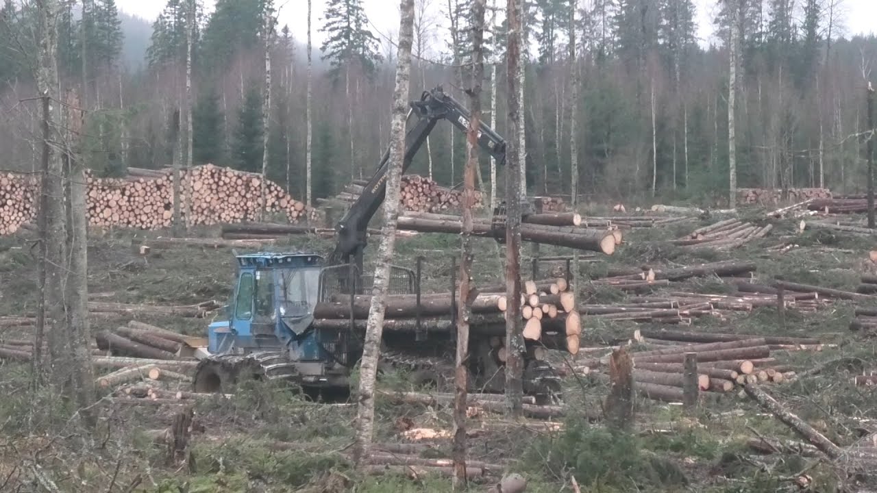 Rottne SMV Rapid Loading - YouTube