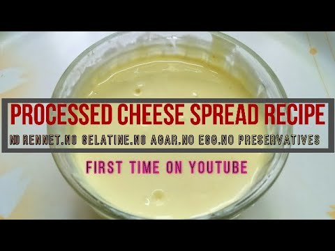 HOMEMADE PROCESSED CHEESE SPREAD RECIPE WITHOUT RENNET, EGG , GELATINE ...