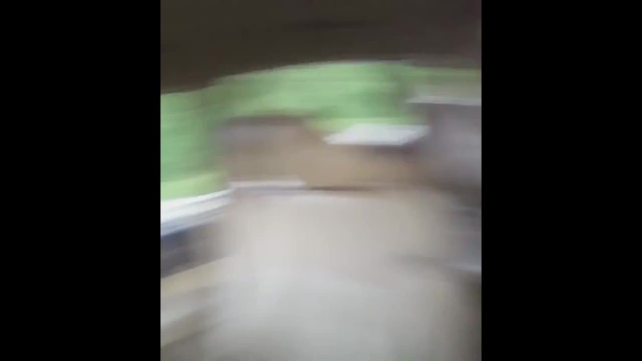Dog Poops On Owner While She Is Driving - YouTube