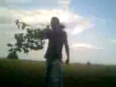 mircik stejar austriac - YouTube