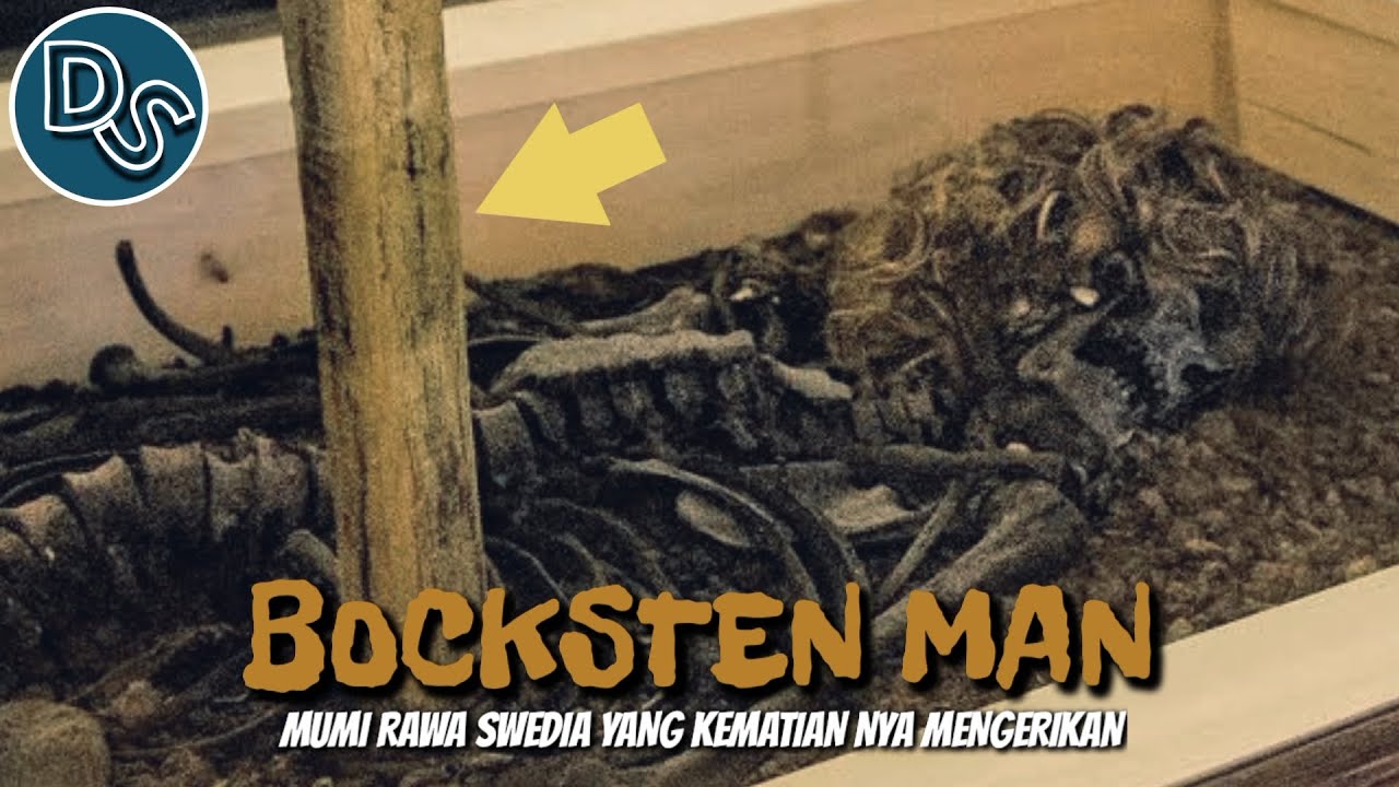 110 - Inilah Wajah Asli Bocksten Man, Mumi Rawa Swedia Yang Berhasil Di ...
