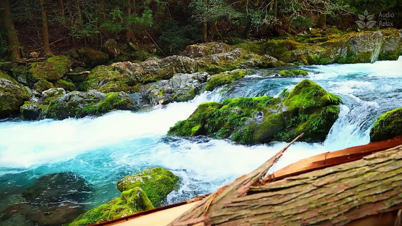 Nature’s Most Relaxing Sound: Gentle Babbling of Crystal Blue River ...