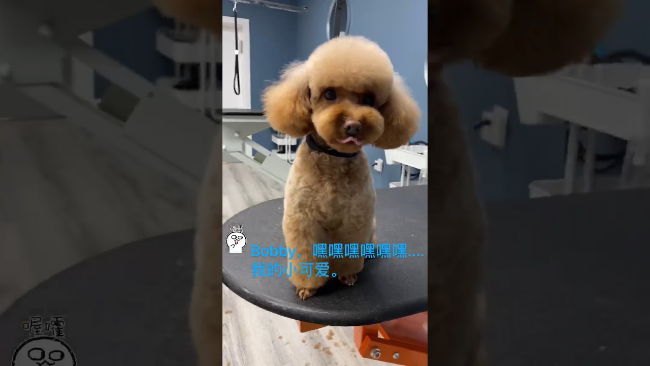 hey, Bobby - YouTube