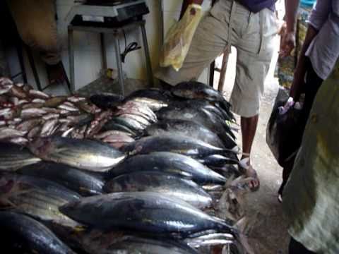 Sri Lanka,ශ්‍රී ලංකා,Ceylon,Kandy:Visit of a market,Fish dealer - YouTube