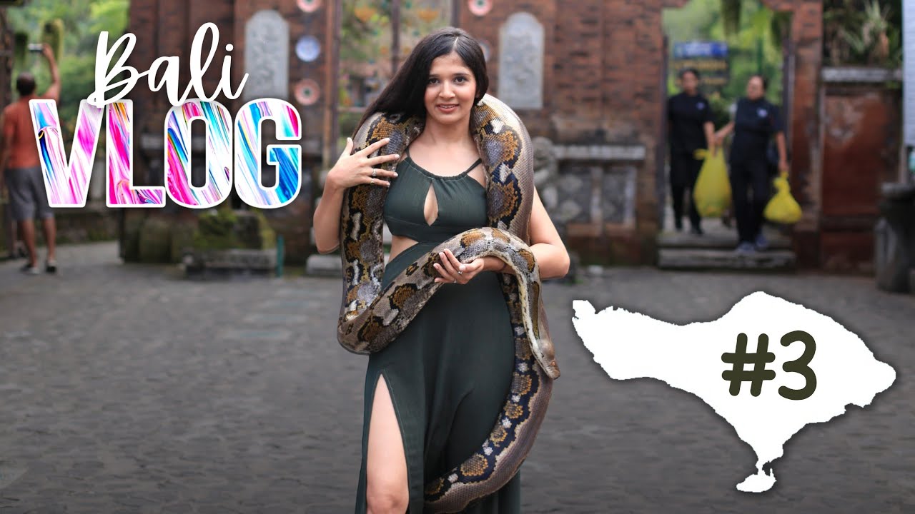 BALI VLOG #3 Gate of Heaven, Tirta Gangga, ATV Ride, River Rafting, Snakes & Swings | Instagram ...