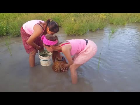 Mini Etekli Güzel Kızlar Balık Yakalıyor