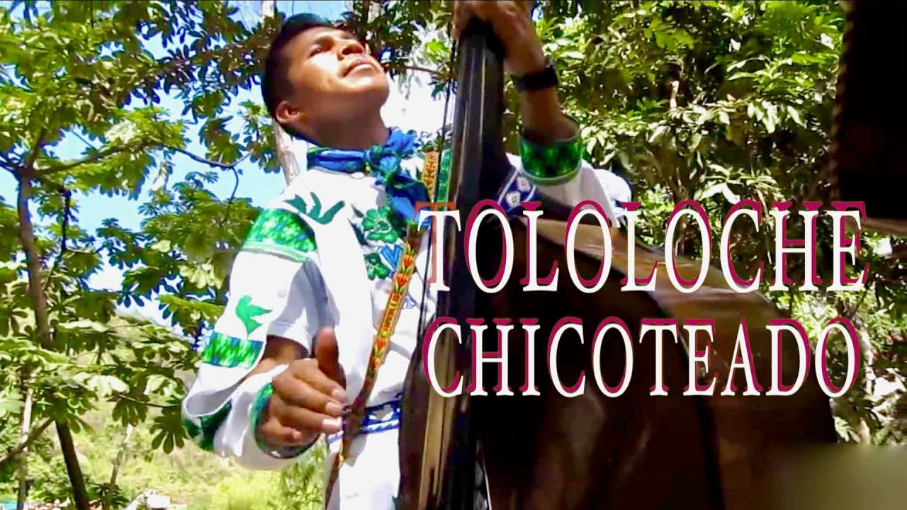 TOLOLOCHE CHICOTEADO (Huichol) - YouTube
