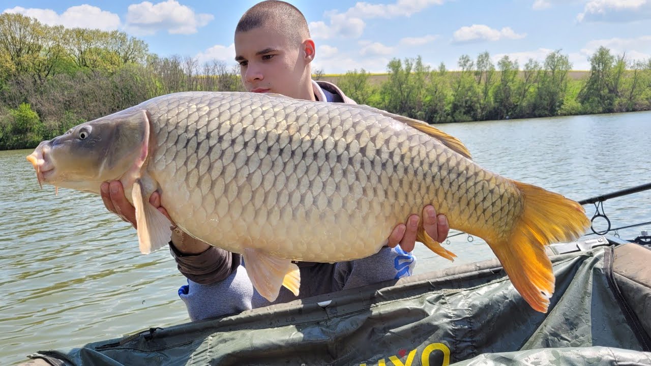 Crapi de aprilie pe Milotina 1 - YouTube