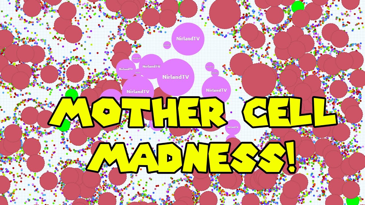 Agar.io - MOTHER CELL MADNESS!!!! [999+ MOTHER CELLS!] - YouTube