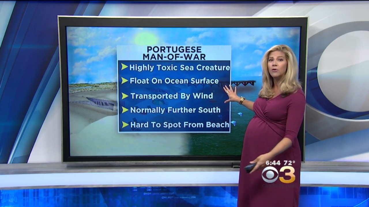 Katie 2015 07 06 - YouTube