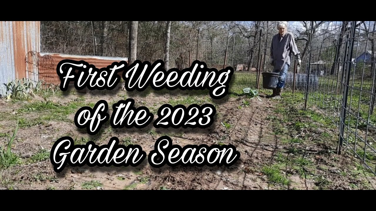 First Weeding of the Season - Garden Prep - YouTube