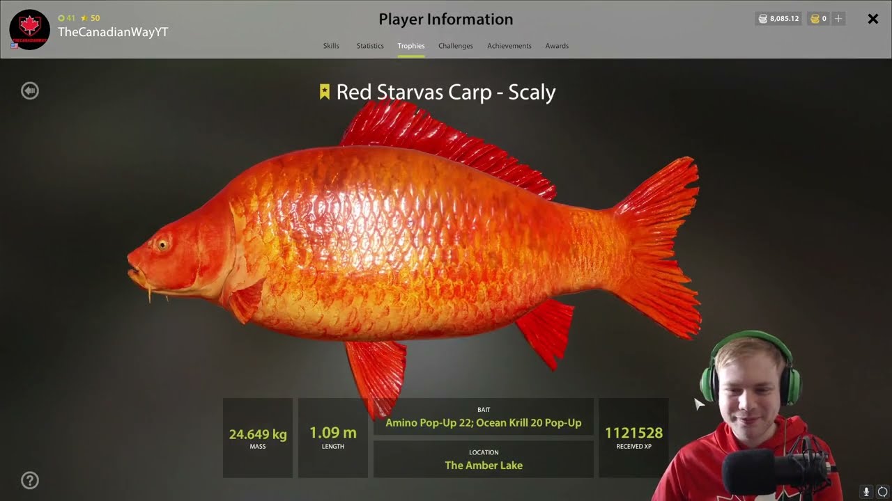 Russian Fishing 4 Amber Lake Active Spot & New Baits - YouTube