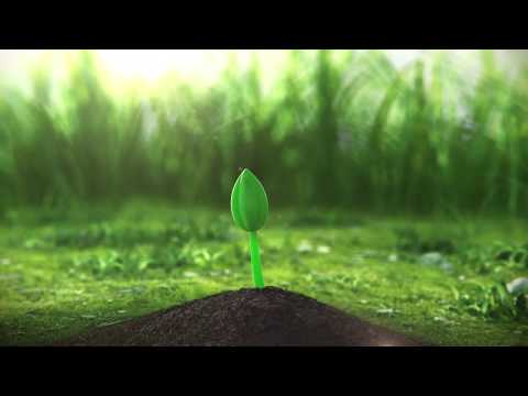 153 Çiçek Açılması intro