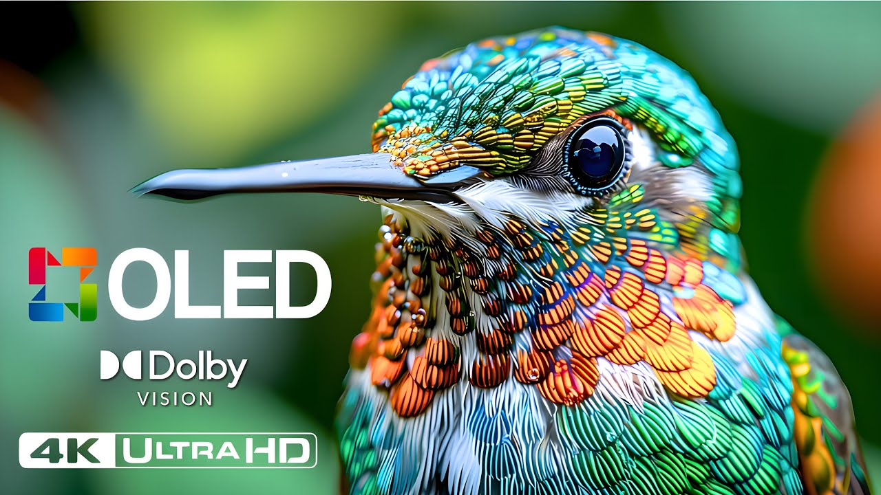The Ultimate Guide to Producing 4K Ultra HD Content | Dolby Vision ...