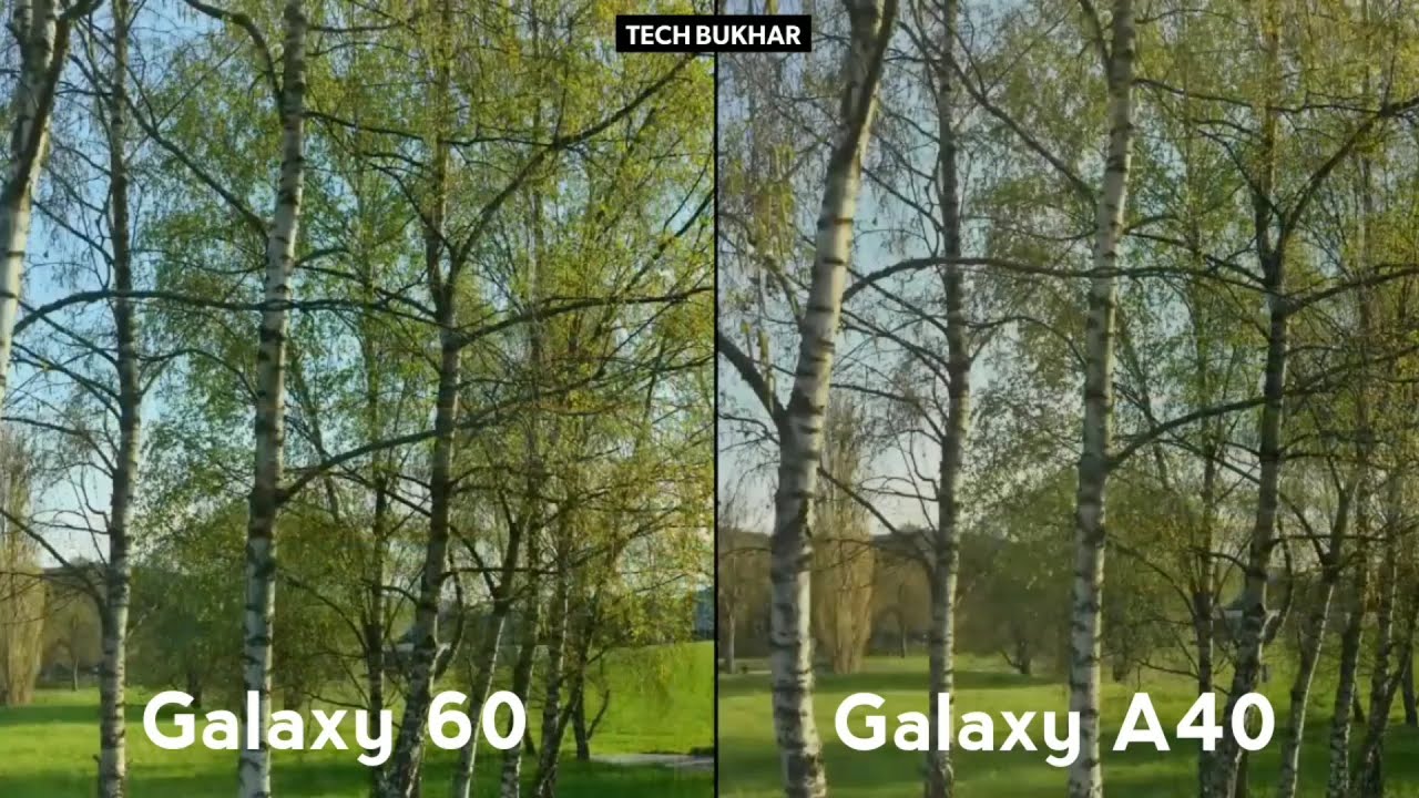 samsung-galaxy-a40-vs-samsung-galaxy-a60-camera-comparison