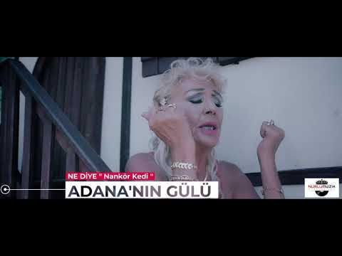 Adana'nın Gülü - Ne Diye ''Nankör Kedi'' (Official Video)