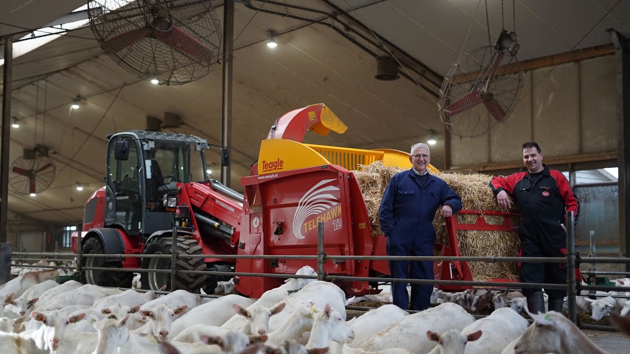 Weidemann 5080T met Teagle Telehawk T2 verdeelt stro bij ...
