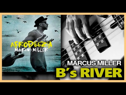 Marcus Miller - B's RIVER | Bass Cover