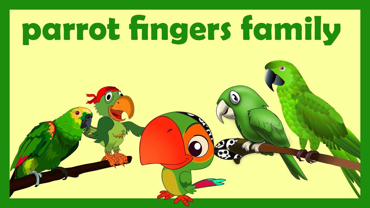Funny Parrot Finger Family | Cartoon Animation Rhymes | Children ...