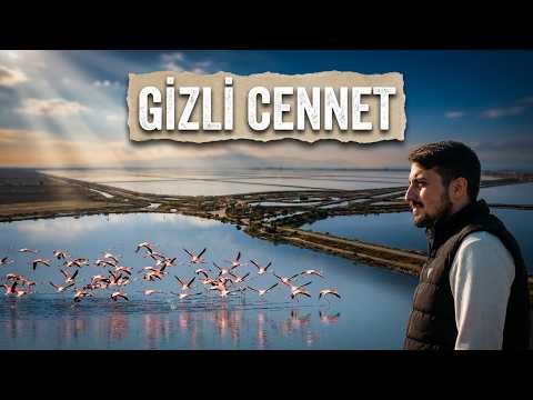 Dünyanın Sayılı Kuş Cennetlerinden Biri: İzmir Kuş Cenneti
