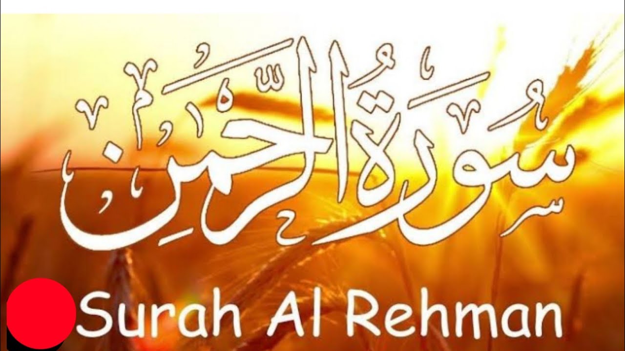 Sarah AR Rahman | Surah Rahman Sunny Official - YouTube