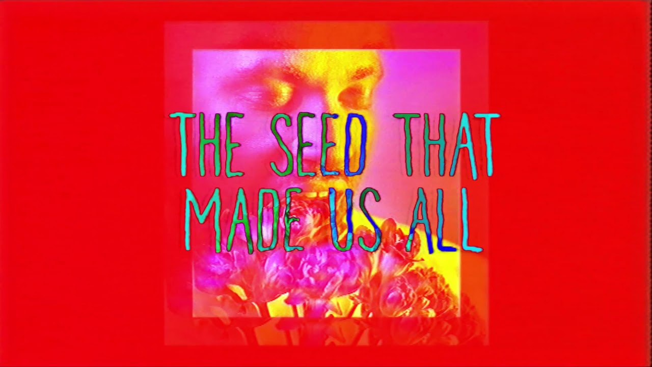 Indigo Face - The Seed (Official Lyric Video) - YouTube