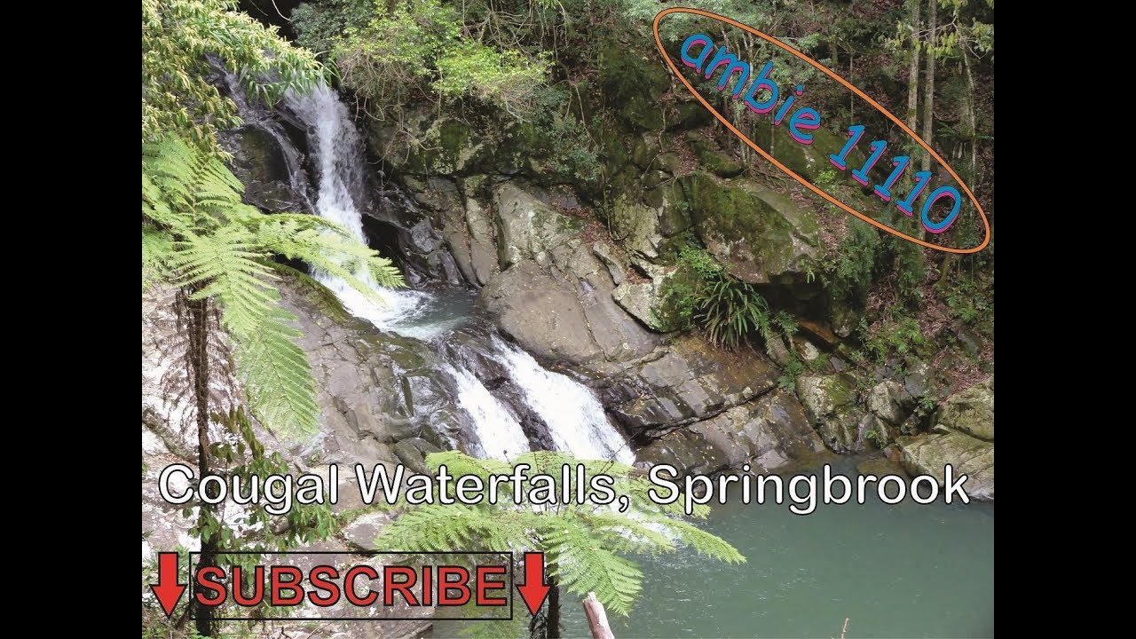 Cougal Waterfalls Springbrook QLD - YouTube