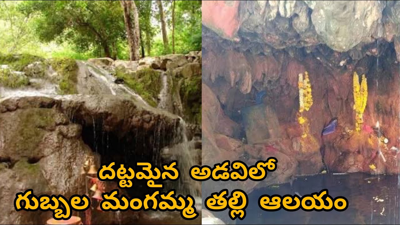 Gubbala Mangamma Vlog | బుట్టాయగూడెం గుబ్బల మంగమ్మ - YouTube