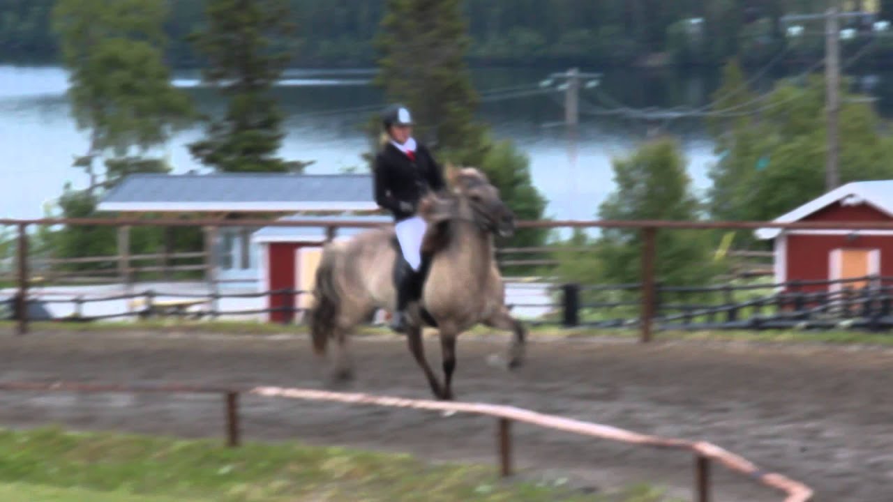 Flugar F1 SM 2014 - YouTube