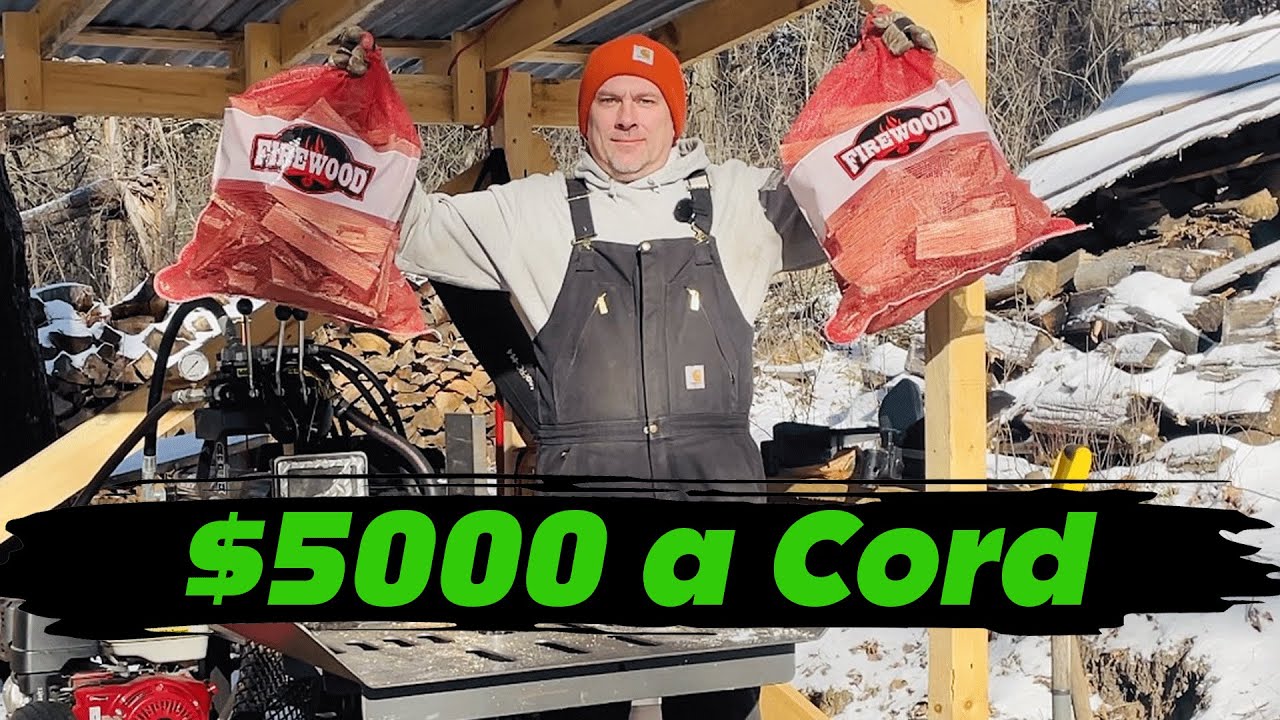 Firewood Treasure In The Woodyard - YouTube
