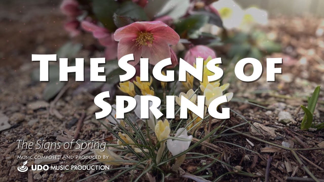 Most Happy Uplifting Motivational Inspiring Music [Royalty Free] - YouTube