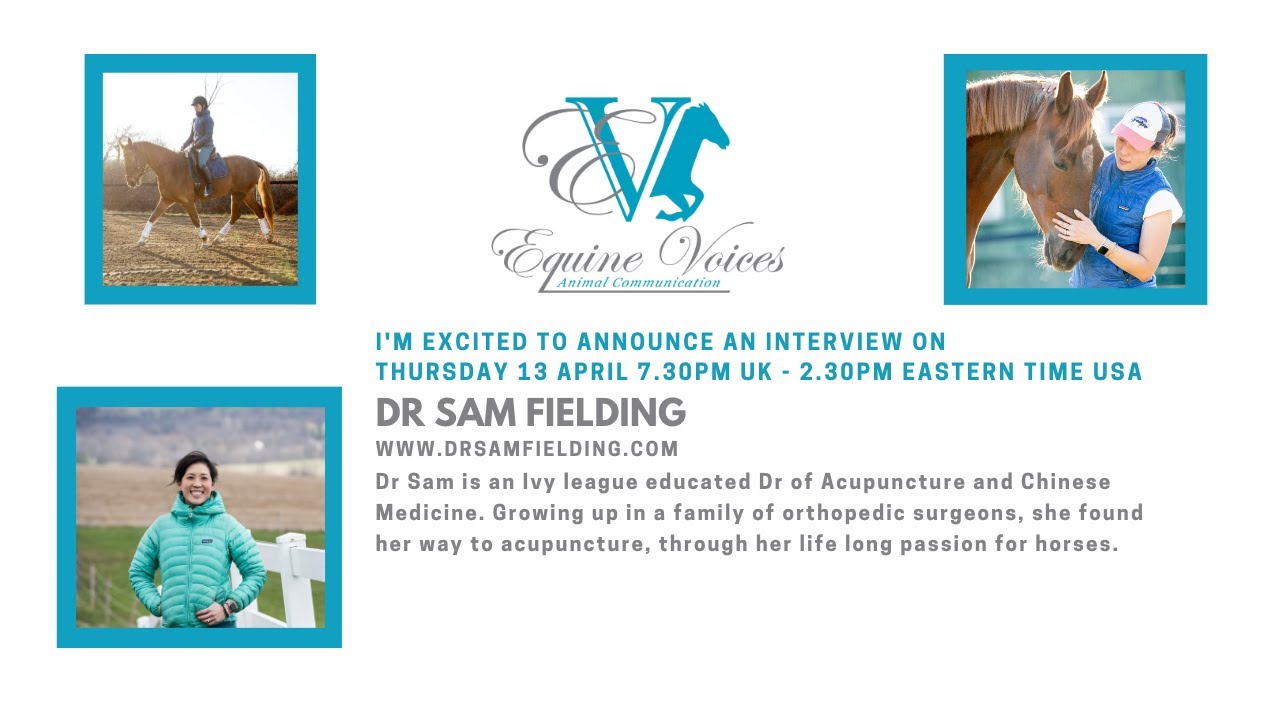 Podcast Interview with Dr Sam Fielding - YouTube