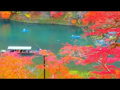 The Most BEAUTIFUL Autumn Scenery in Japan - YouTube